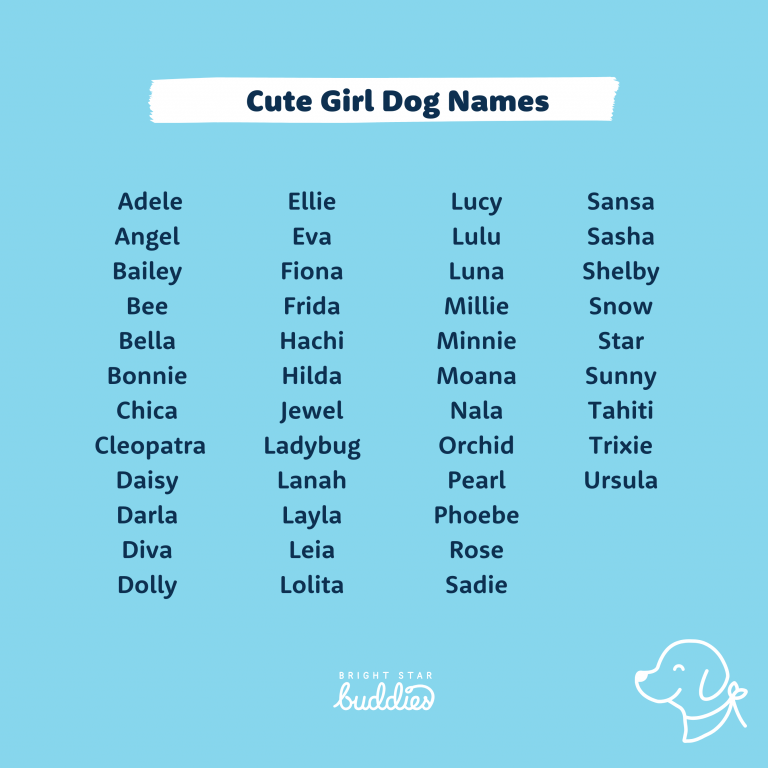 Top 200 Dog Names Cute Dog Names You ll Love BSB