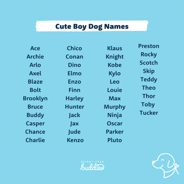 Top 200 Dog Names Cute Dog Names You ll Love BSB Top 200 Dog Names Cute Dog Names You ll Love BSB